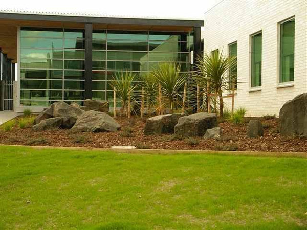 Ecocil Nonwoven Weedmat | Winter Gardenz – wintergardenz.co.nz